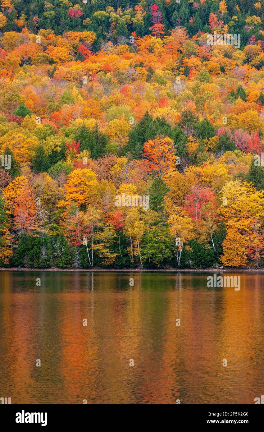 Peak fall foliage in New England. Autumn lake scene with vibrant ...