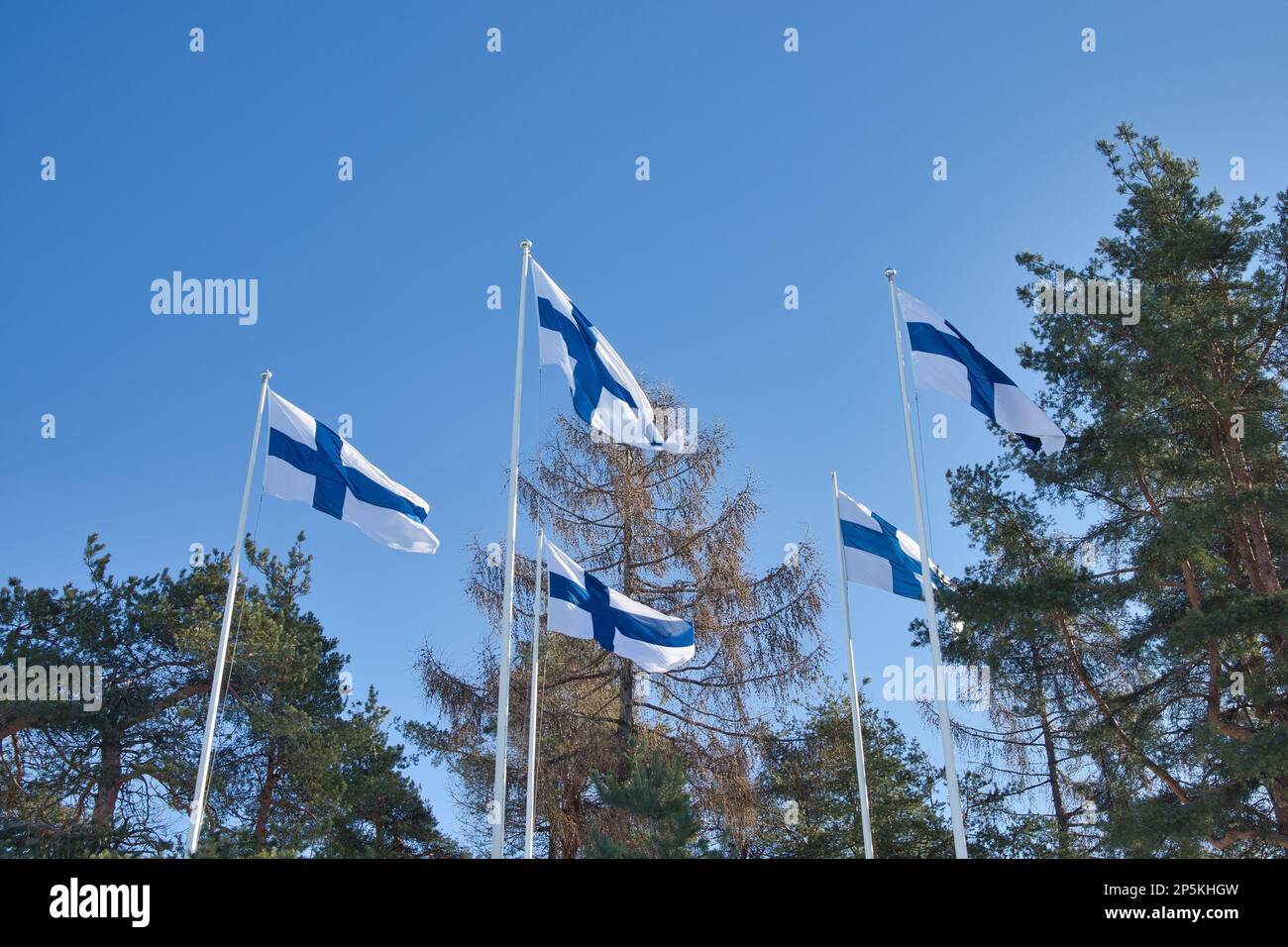 Five finnish national flags on the wind against the blue sky Stock ...