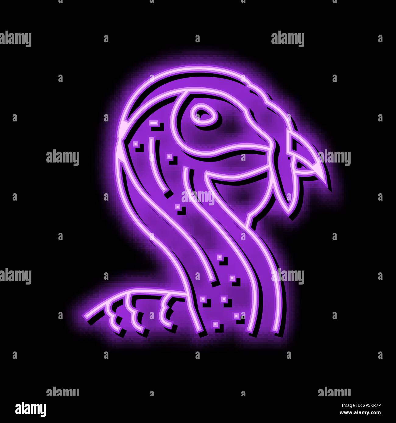 turkey animal zoo neon glow icon illustration Stock Vector Image & Art ...