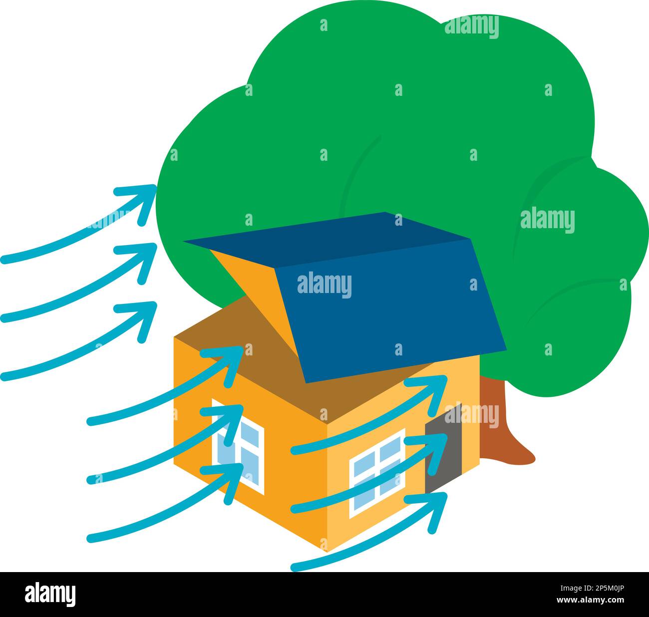 Home window hurricane Cut Out Stock Images & Pictures - Alamy