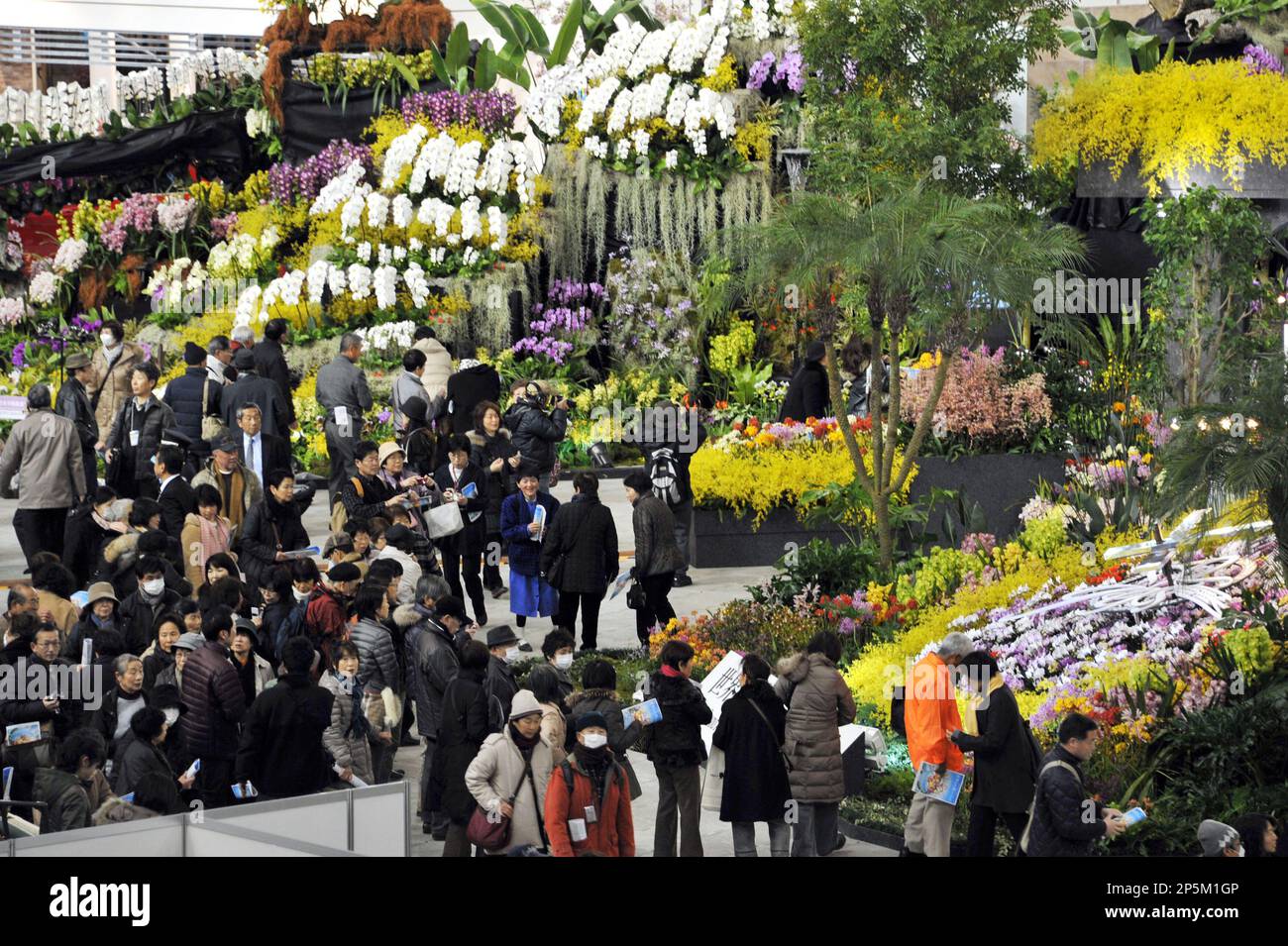 People visit Japan Grand Prix International Orchid Festival, which ...