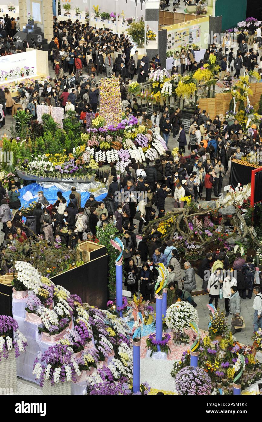 People visit Japan Grand Prix International Orchid Festiva, which opens ...