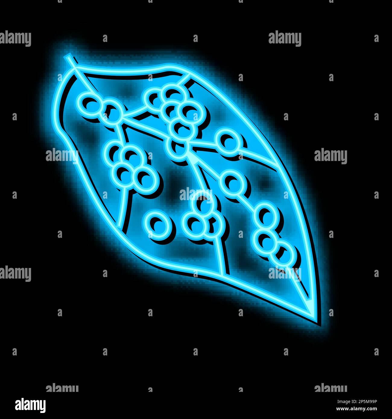 Eggs Silkworm Neon Glow Icon Illustration Stock Vector Image And Art Alamy