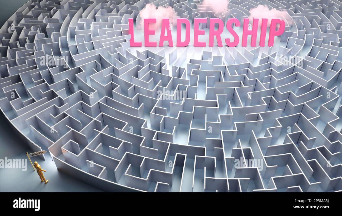 A journey to find Leadership - going through a confusing maze of ...