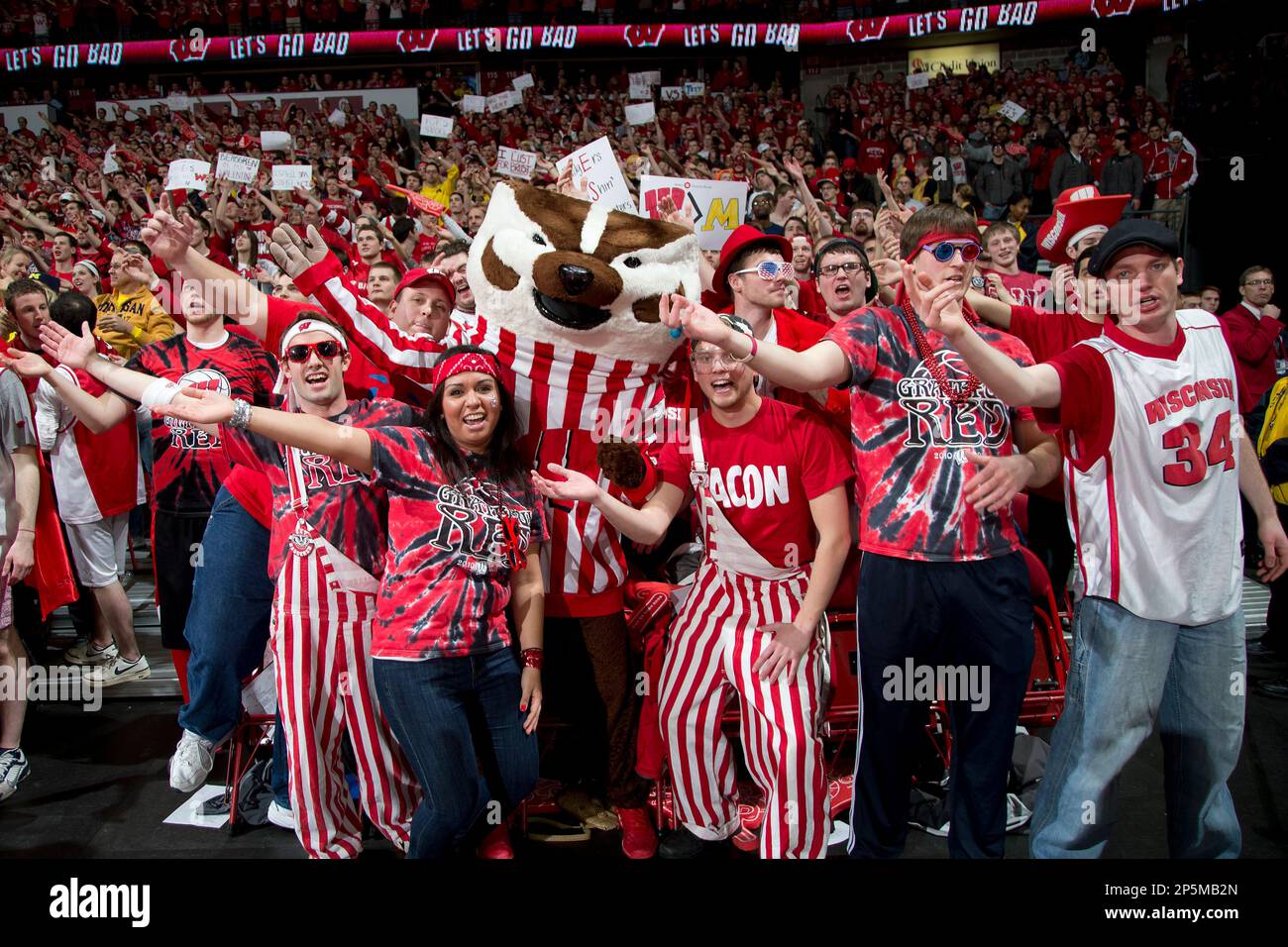 Wisconsin Badger fans cheer with mascot Bucky Badger during a Big Ten ...