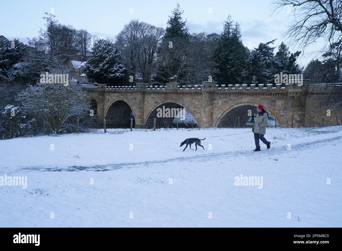 A man walks his dog through a snow covered field near Alnwick Castle in ...