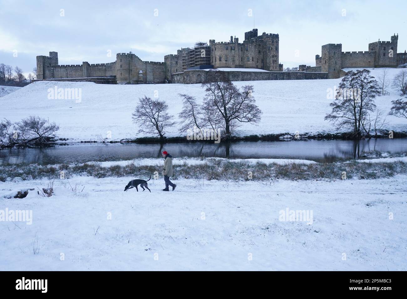 A man walks his dog through a snow covered field at Alnwick Castle in ...