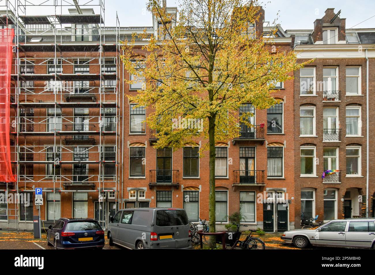 a tree in the middle of an urban area with scr cars parked on the ...
