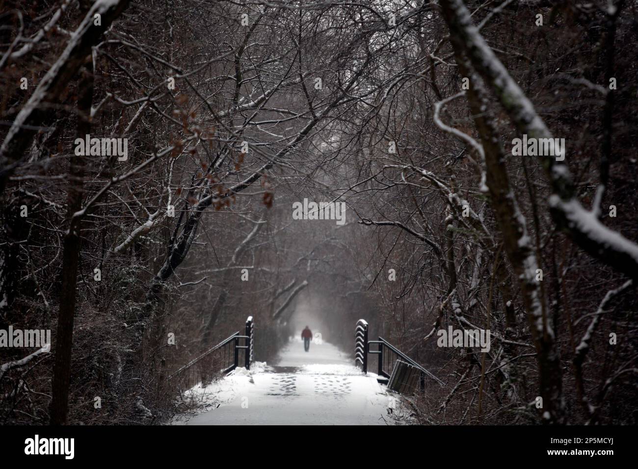 Rayburn Vandergrift walks along the snowy and misty Huckleberry Trail ...