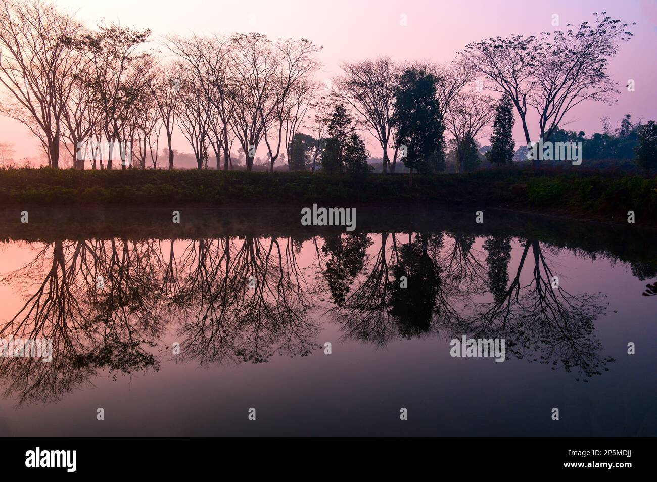 Sunrise over the lake. Dooars, West Bengal, India - February 15, 2023 ...