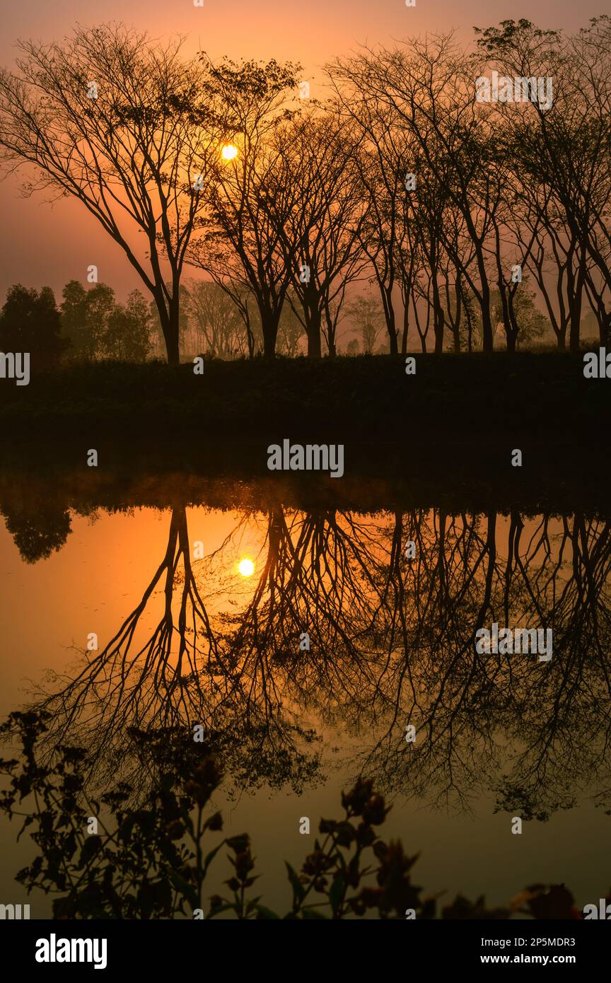 Sunrise over the lake. Dooars, West Bengal, India - February 15, 2023 ...