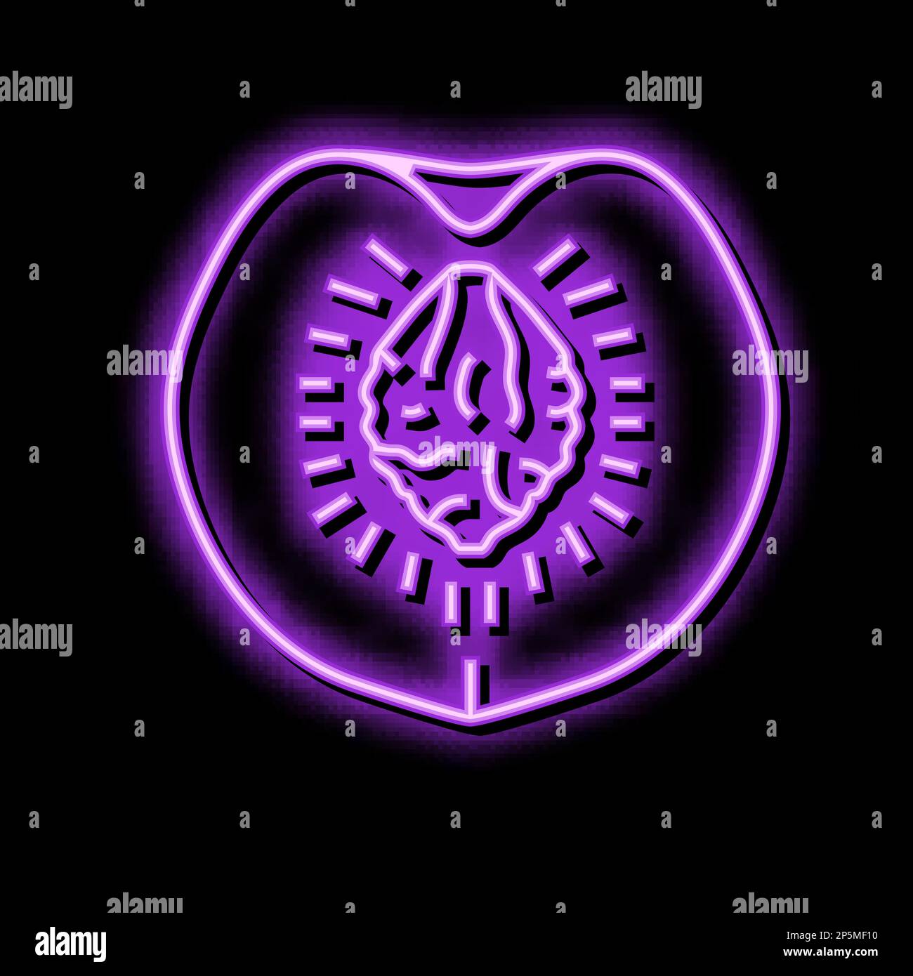 Peach pit Stock Vector Images - Alamy