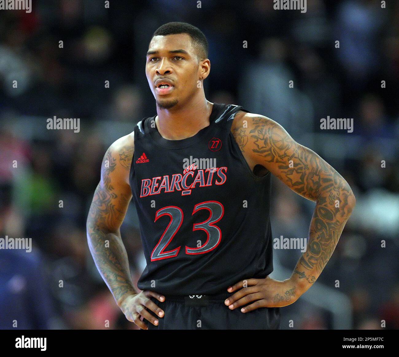 Feb. 6, 2013 - Providence, Rhode Island, United States - Cincinnati ...