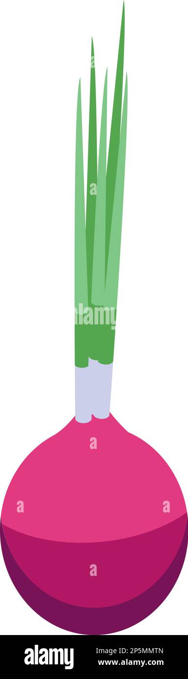 Garden chives icon isometric vector. Food nature. Cooking plant Stock ...