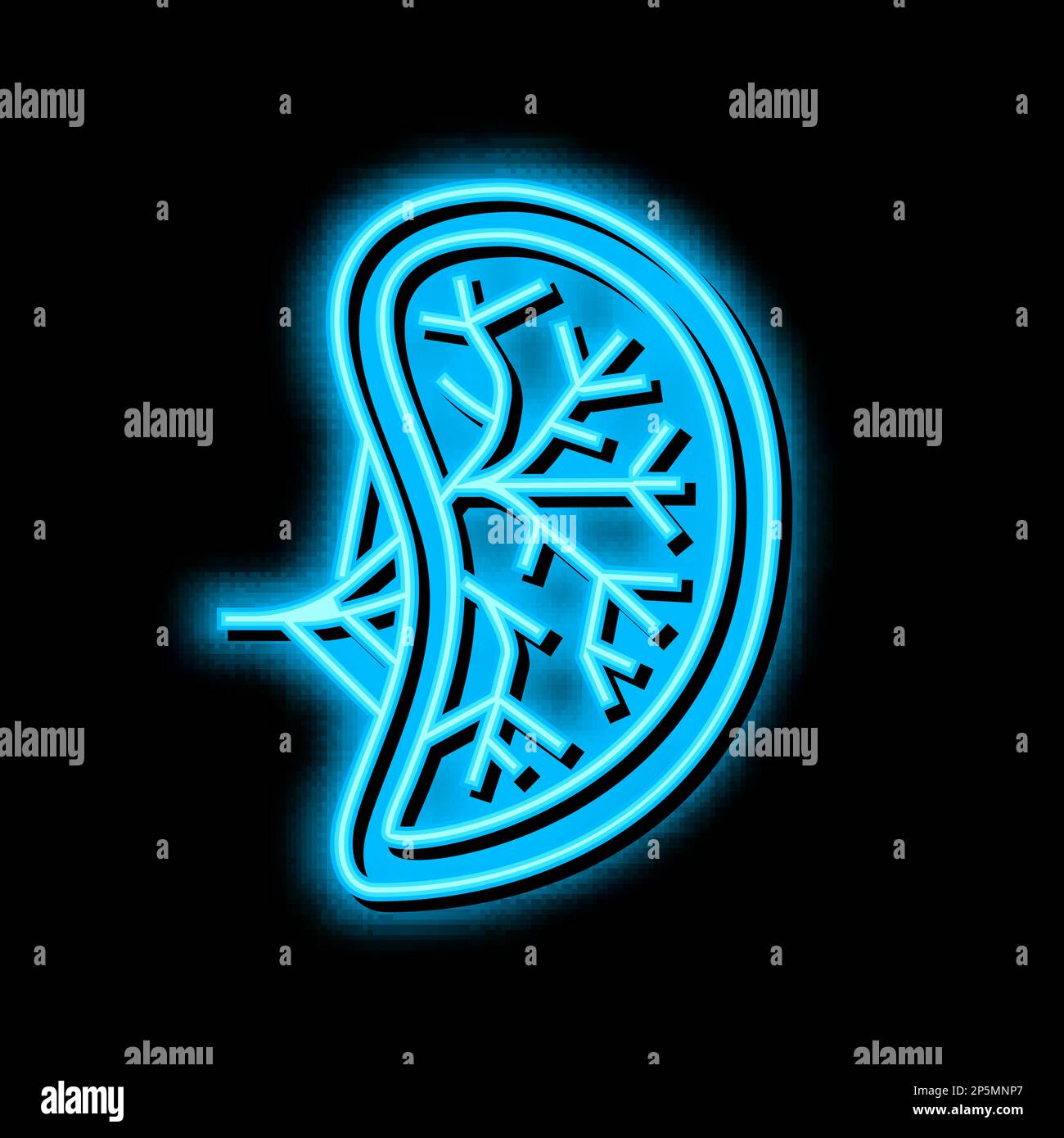 spleen human organ neon glow icon illustration Stock Vector Image & Art ...