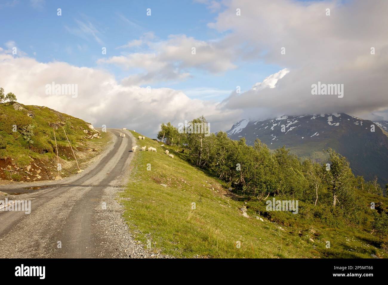 Mount Hoven, splendid view over Nordfjord from the Loen skylift Stock ...