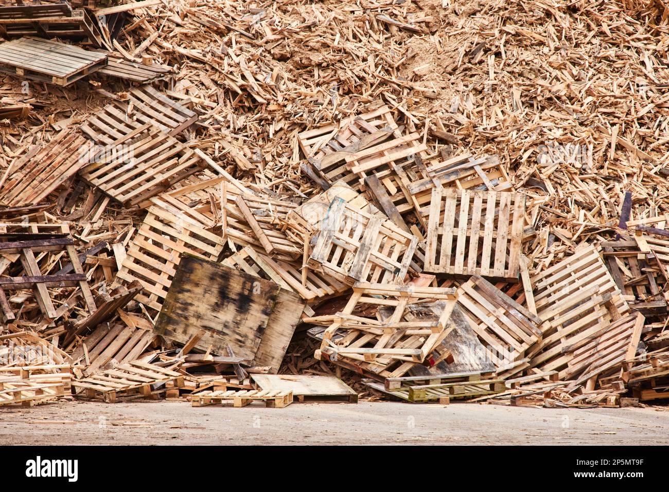 large tip pile of wooden pallets (skid) discarded Stock Photo - Alamy