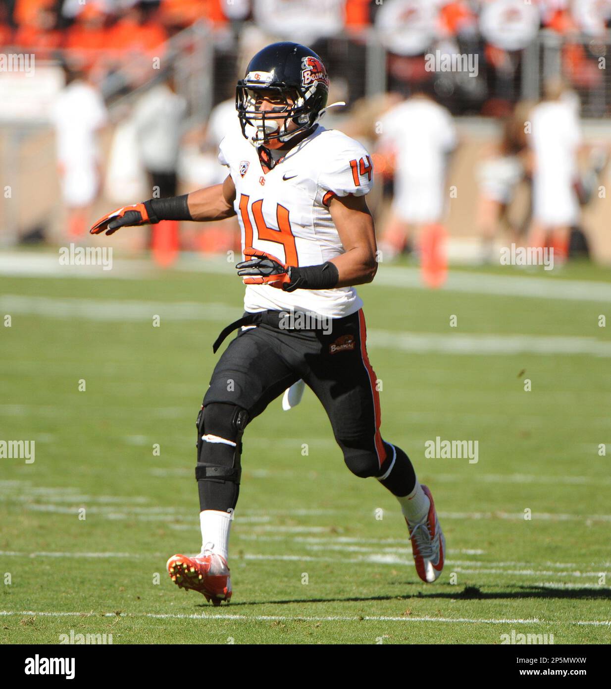 Oregon State Beavers Jordan Poyer (14) in action during a game against ...