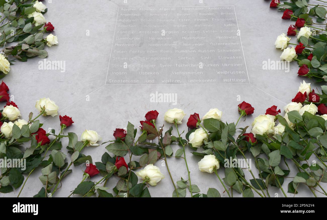 White and red roses are placed on a memorial at the former Nazi ...