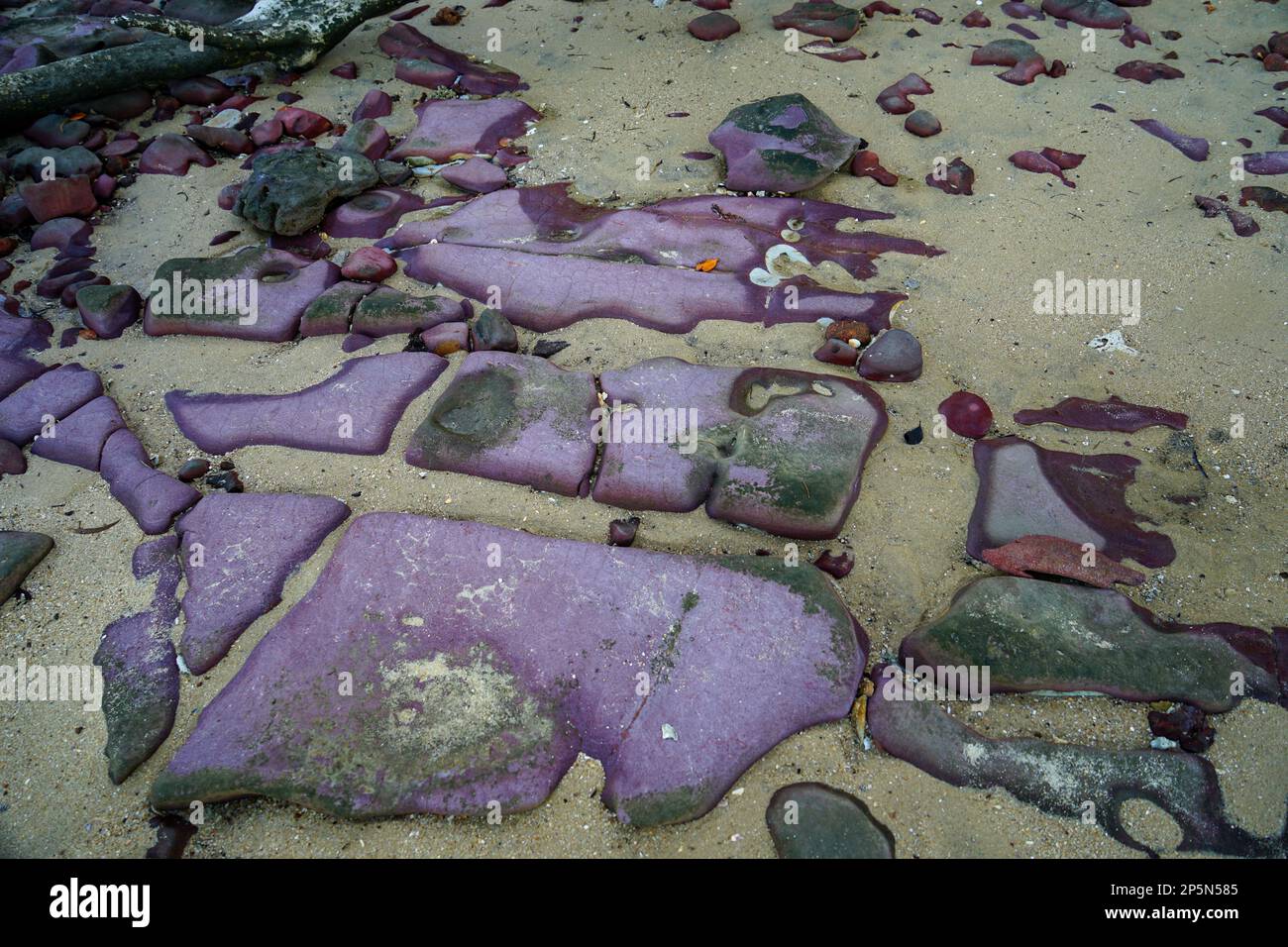 Purple coloured rock formations form an abstract pattern on the sandy ...