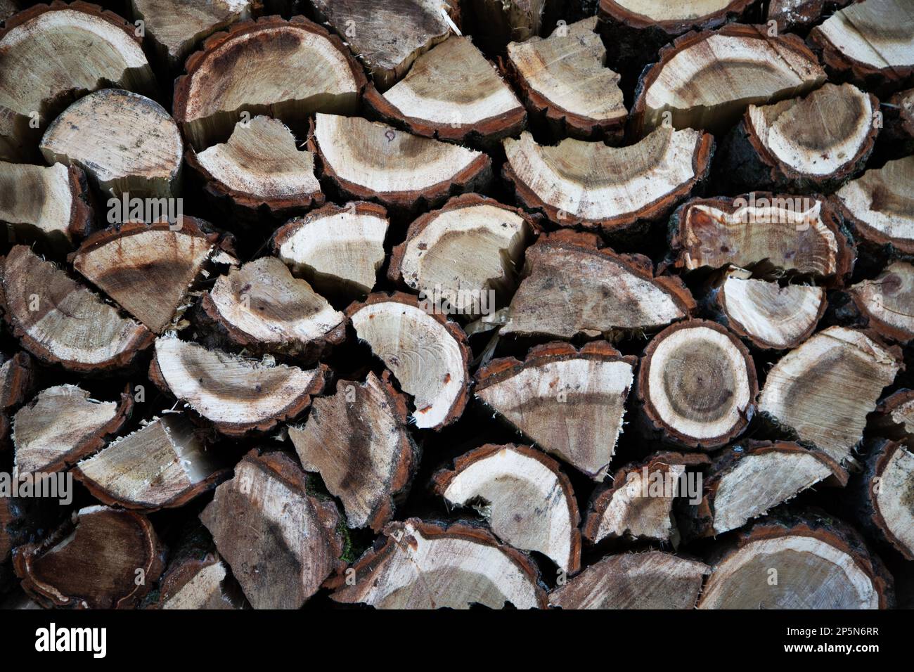 Firewood stack texture Stock Photo - Alamy