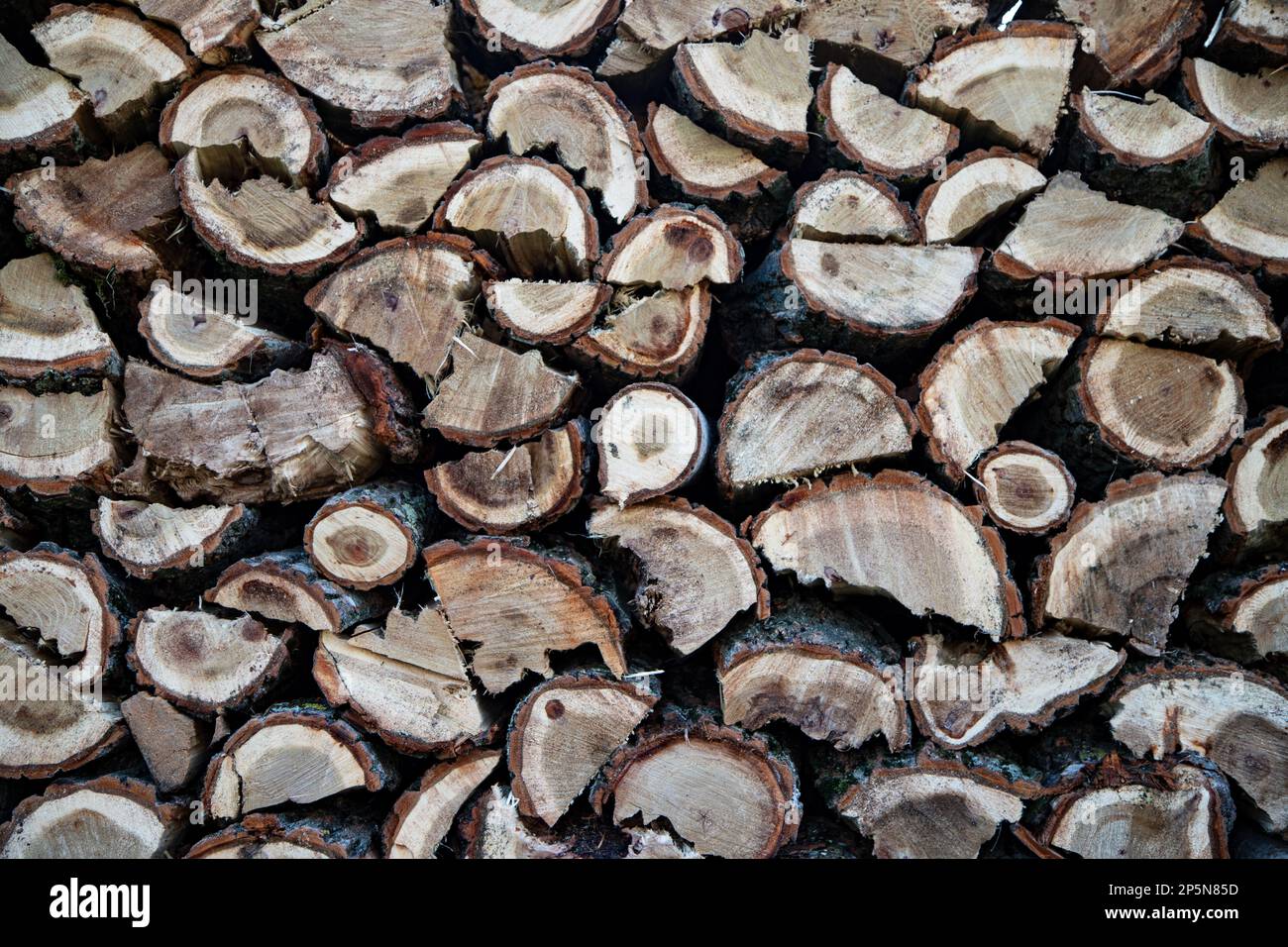 Firewood stack texture Stock Photo - Alamy