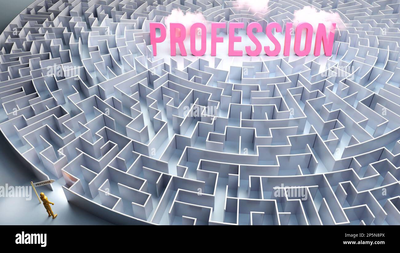 A journey to find Profession - going through a confusing maze of ...