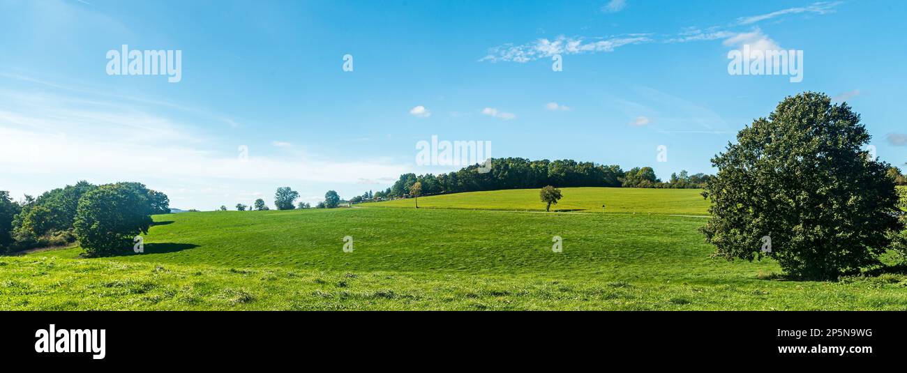Early autumn rural landscape with meadows, trees, country road and blue ...