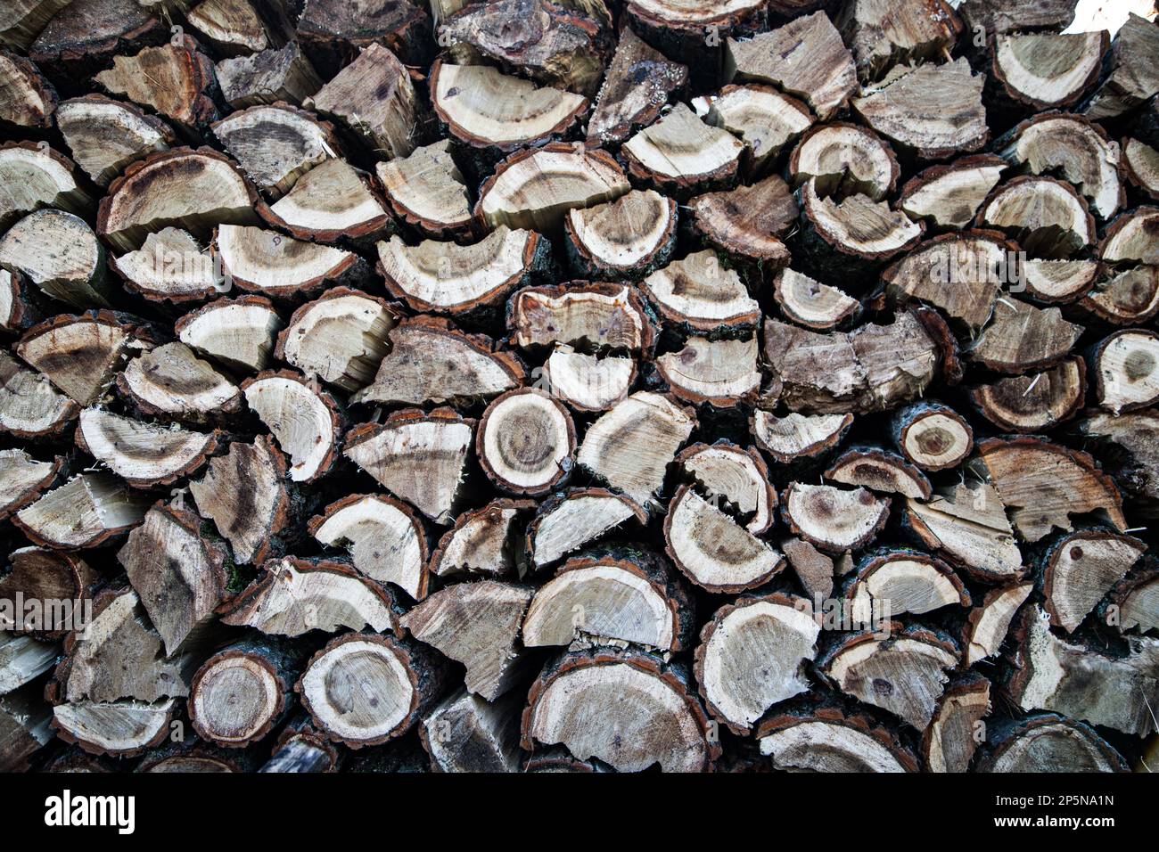 Firewood stack texture Stock Photo - Alamy