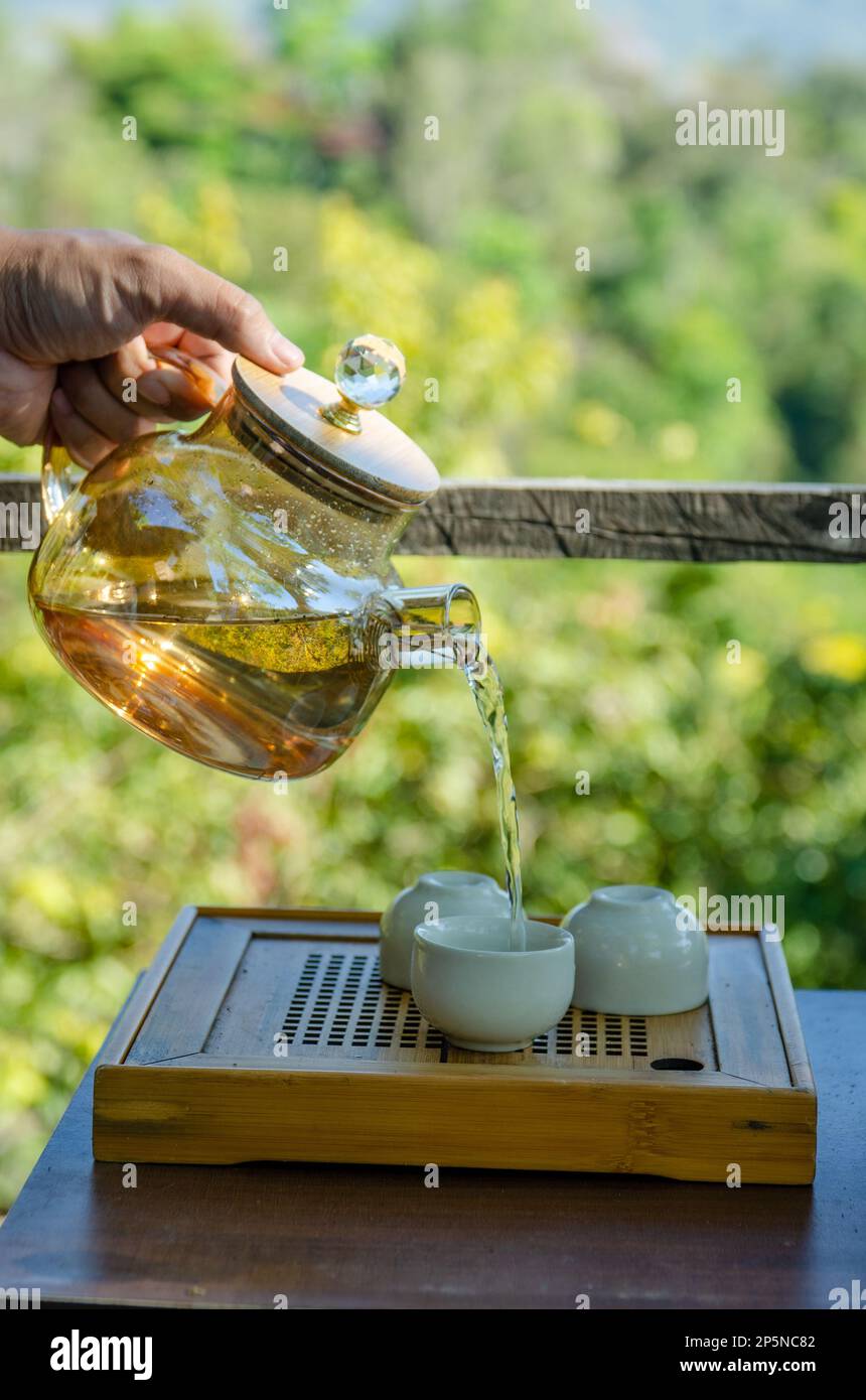 male hand is holding teapot and pouring tea into teacup with green ...