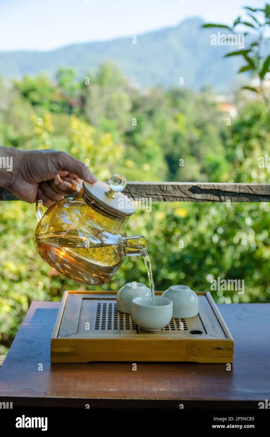 male hand is holding teapot and pouring tea into teacup with green ...