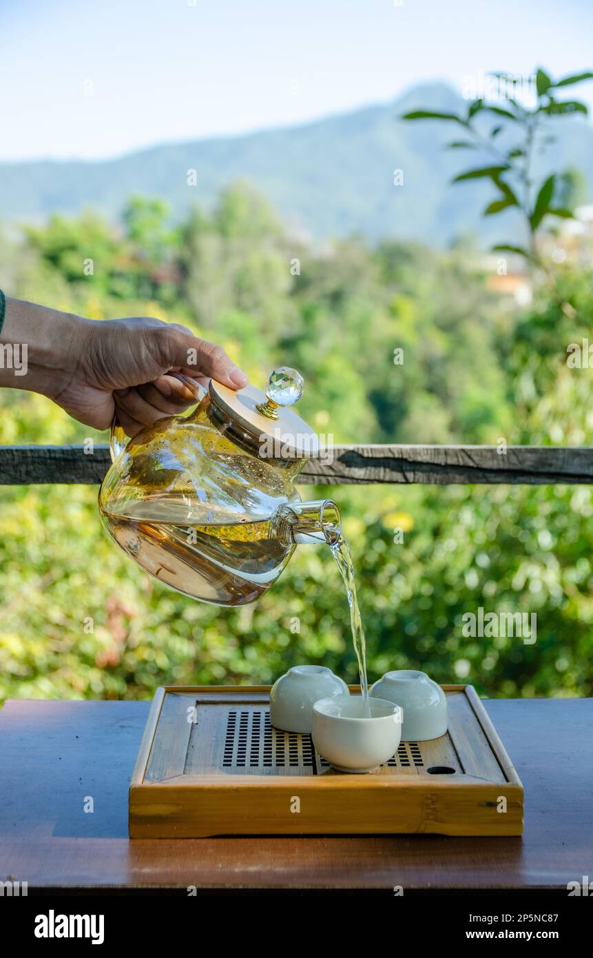 male hand is holding teapot and pouring tea into teacup with green ...