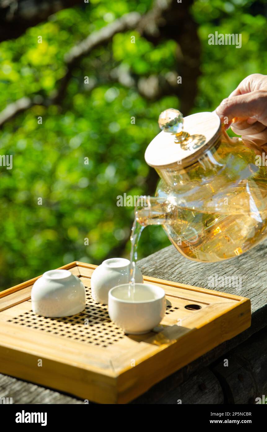 male hand is holding teapot and pouring tea into teacup with tree ...