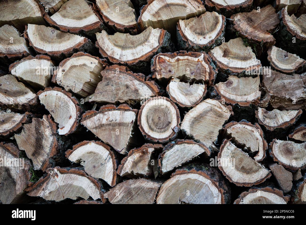 Firewood stack texture Stock Photo - Alamy
