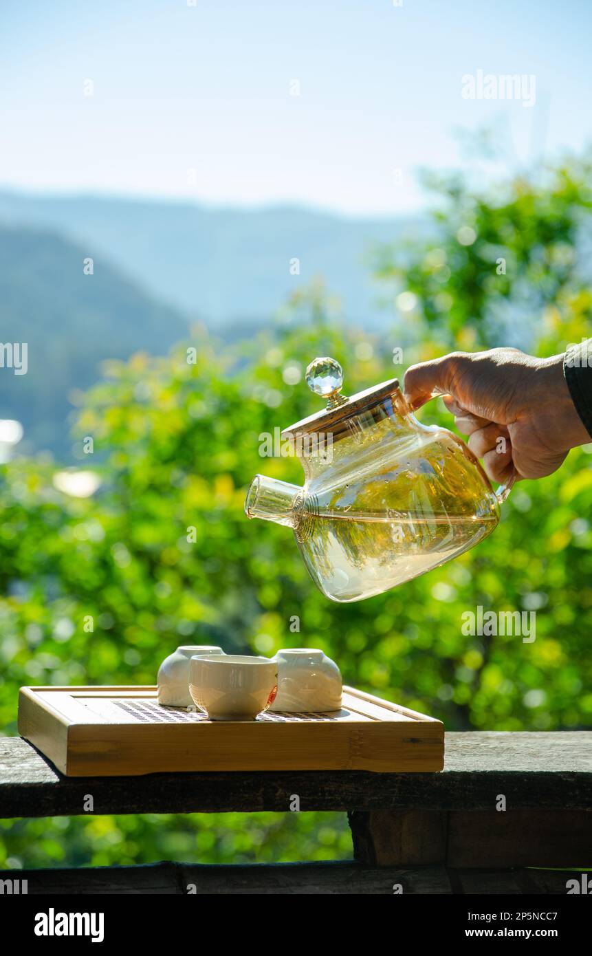 male hand is holding teapot and pouring tea into teacup with tree view ...