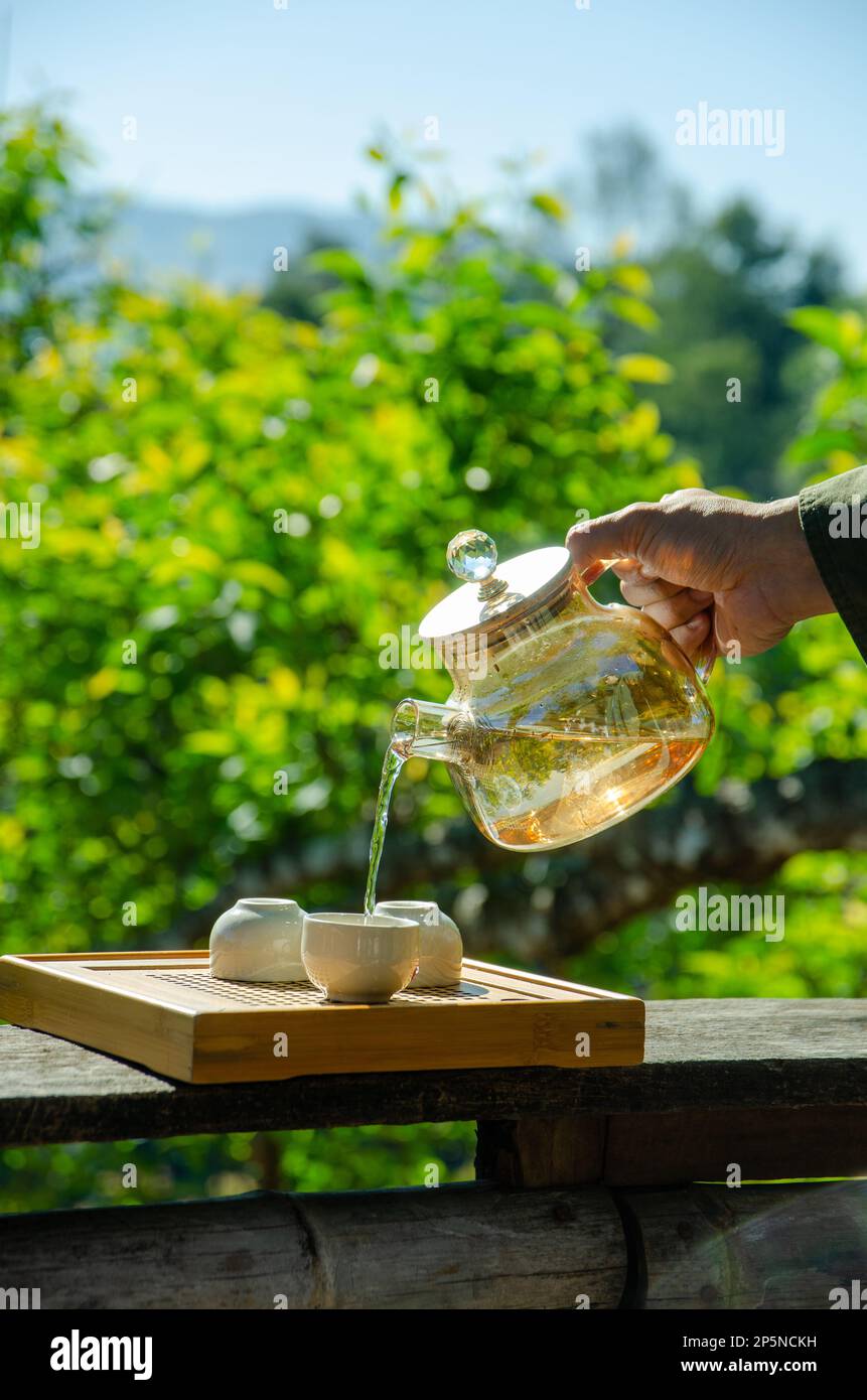 male hand is holding teapot and pouring tea into teacup with tree view ...
