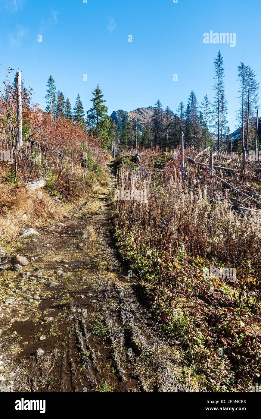 Koprova valley hi-res stock photography and images - Alamy