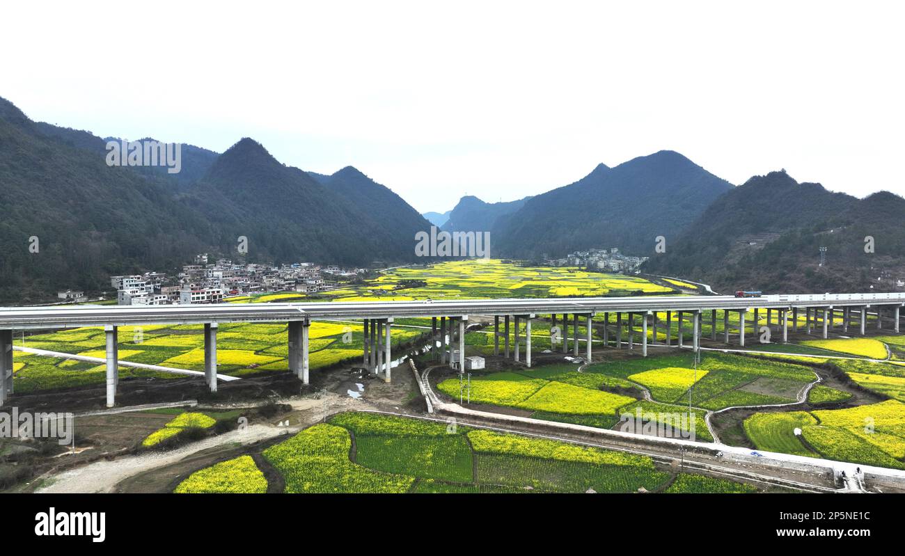 Aerial photo shows the blooming rapeseed flower field in Baijin Town ...