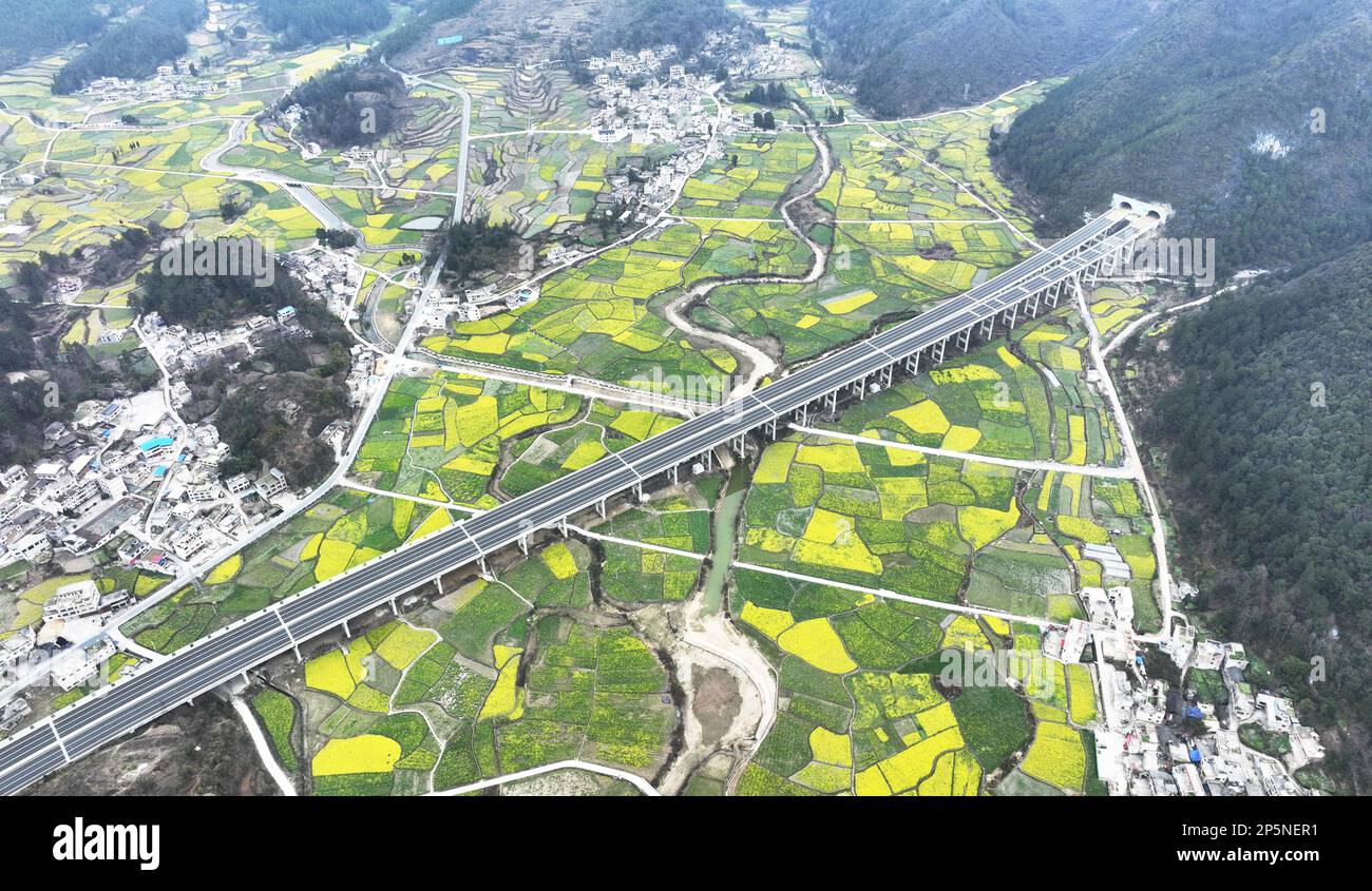 Aerial photo shows the blooming rapeseed flower field in Baijin Town ...