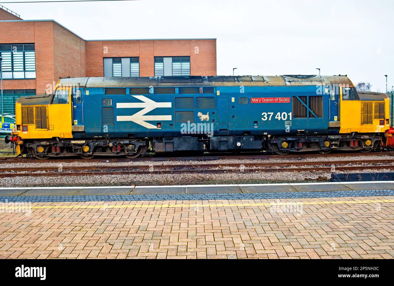 Class 37 mary queen scots hi-res stock photography and images - Alamy