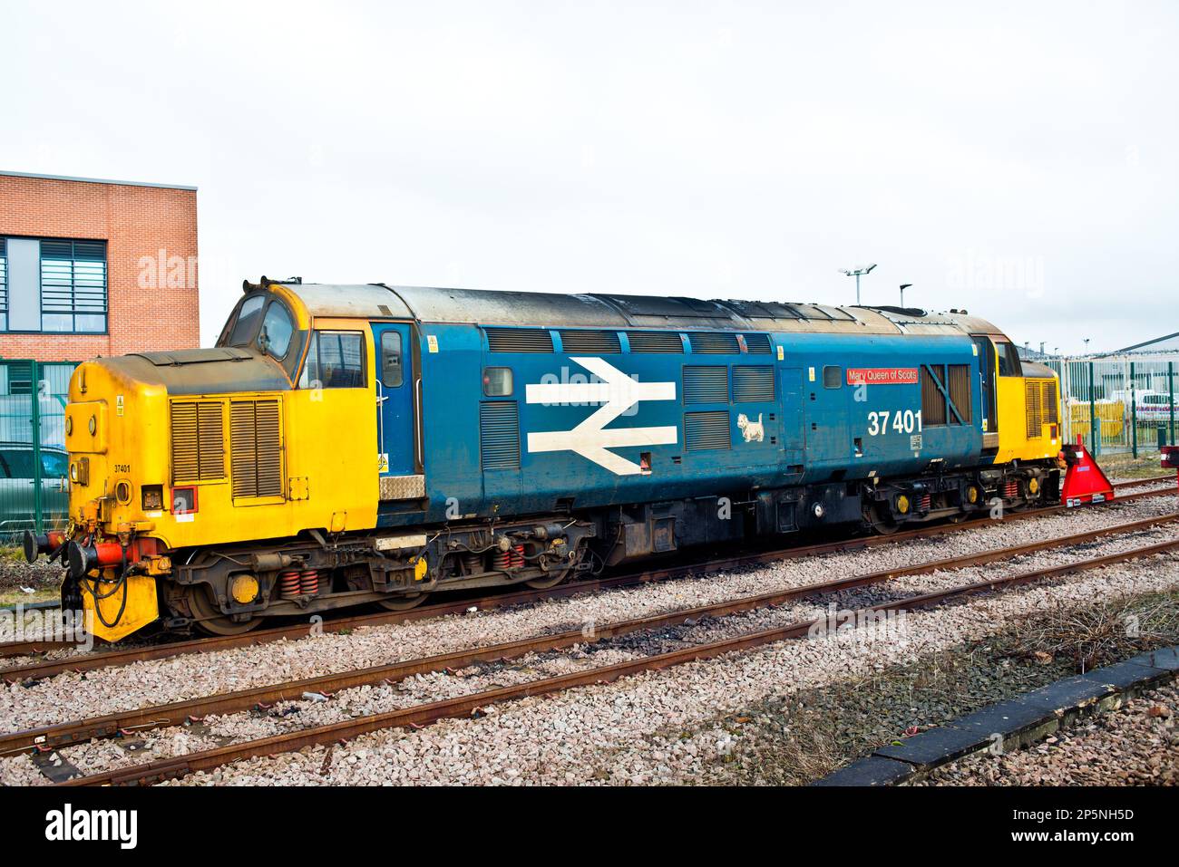 Mary queen of scots locomotive hi-res stock photography and images - Alamy