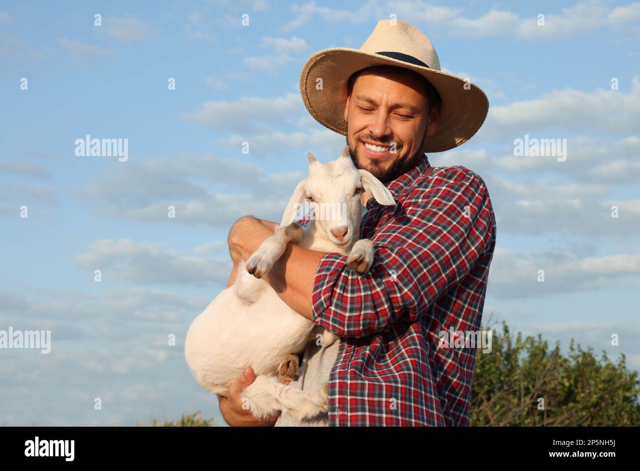 Man with goat at farm. Animal husbandry Stock Photo - Alamy