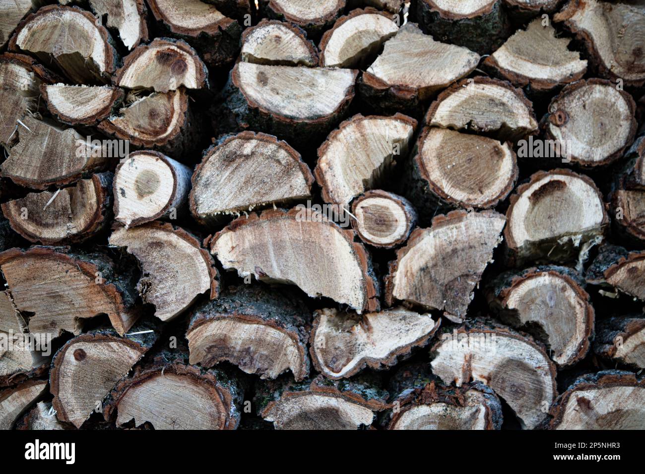 Firewood stack texture Stock Photo - Alamy