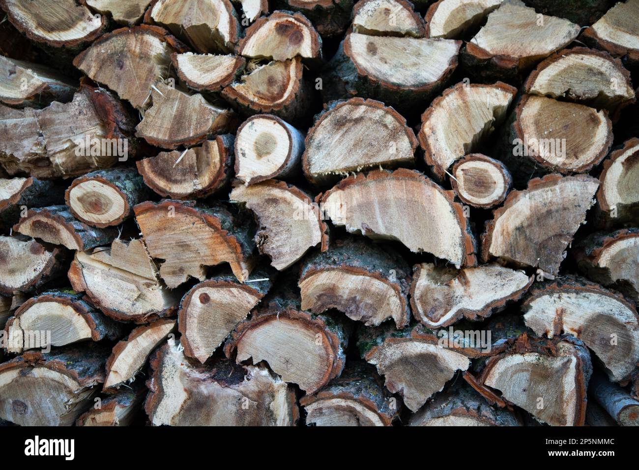 Firewood stack texture Stock Photo - Alamy