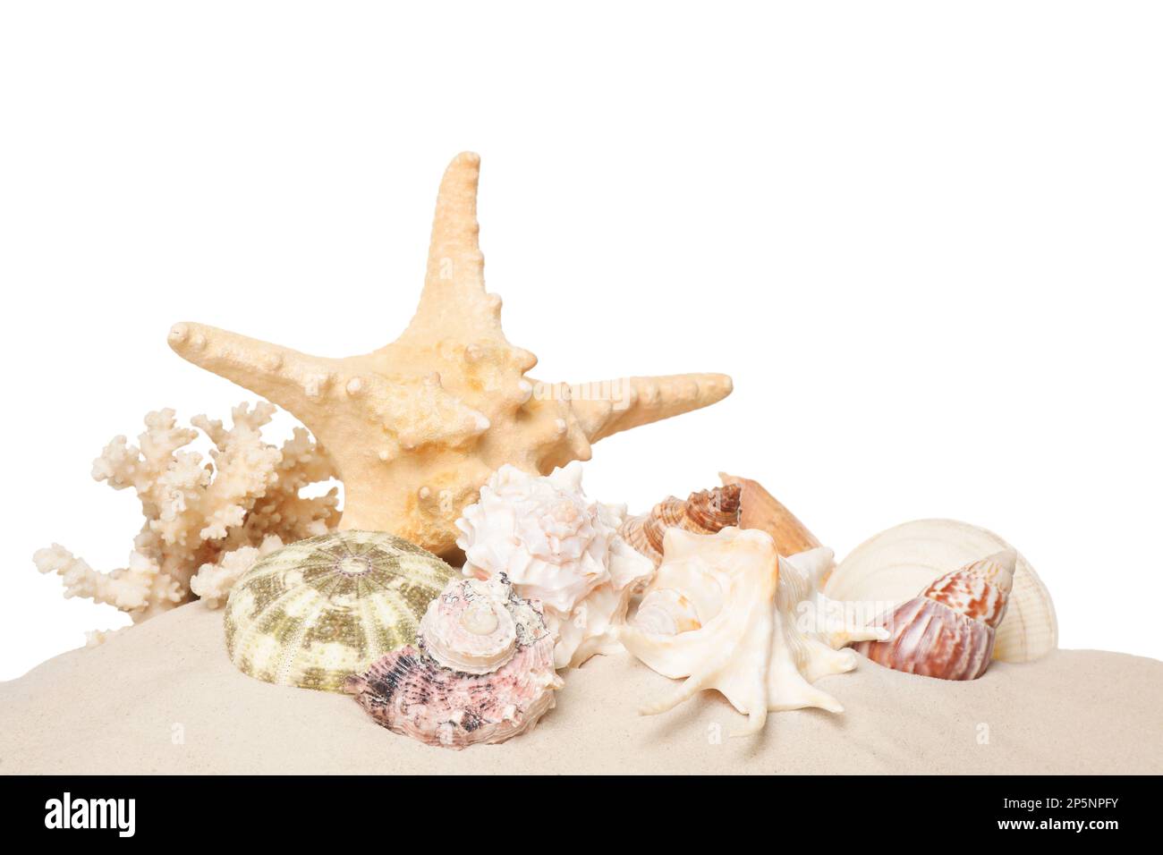 Beautiful starfish, coral and sea shells in sand on white background ...
