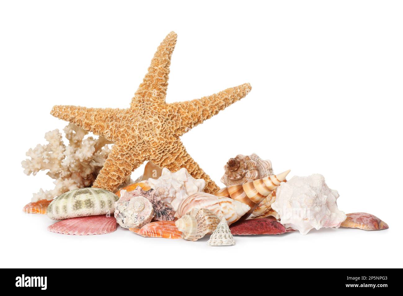 Beautiful starfish, coral and sea shells on white background Stock ...