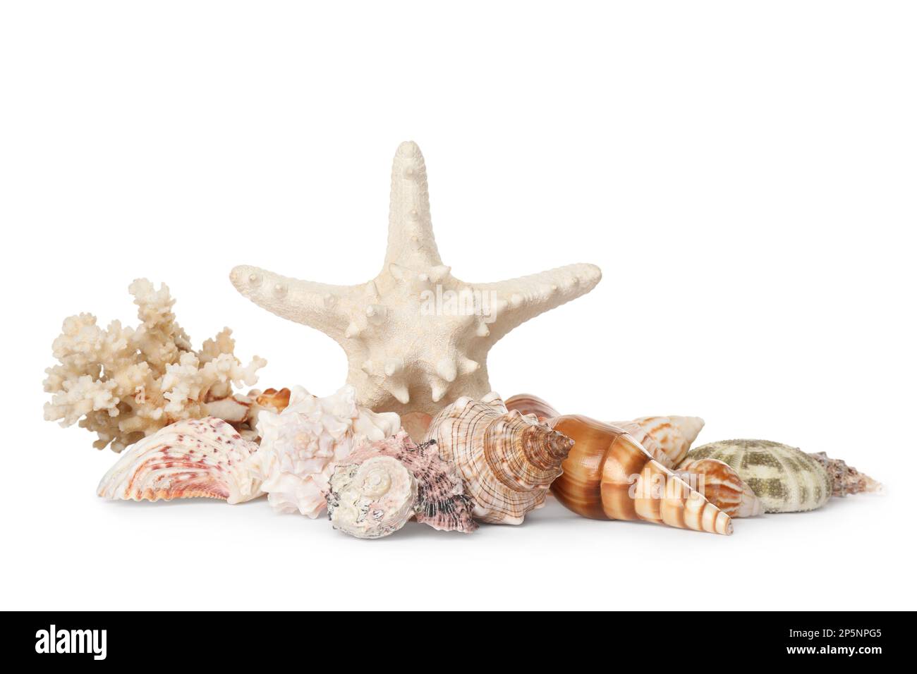Beautiful starfish, coral and sea shells on white background Stock ...
