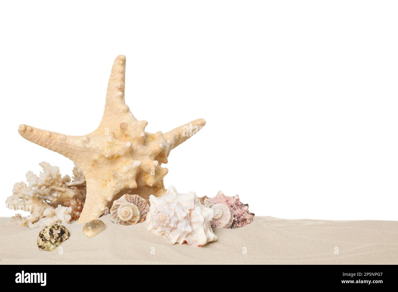 Beautiful starfish, coral and sea shells in sand on white background ...