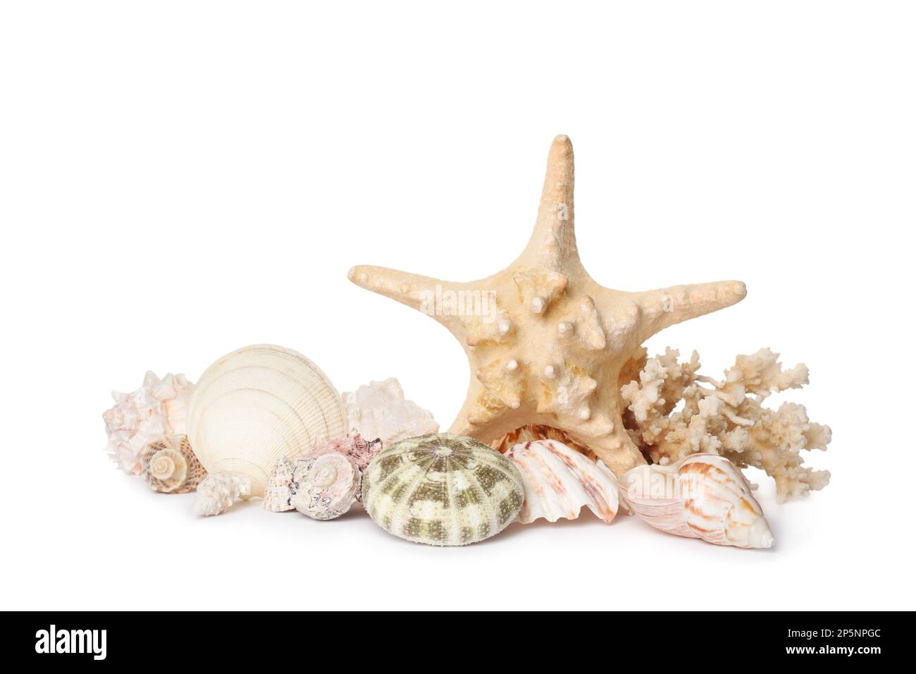 Beautiful starfish, coral and sea shells on white background Stock ...