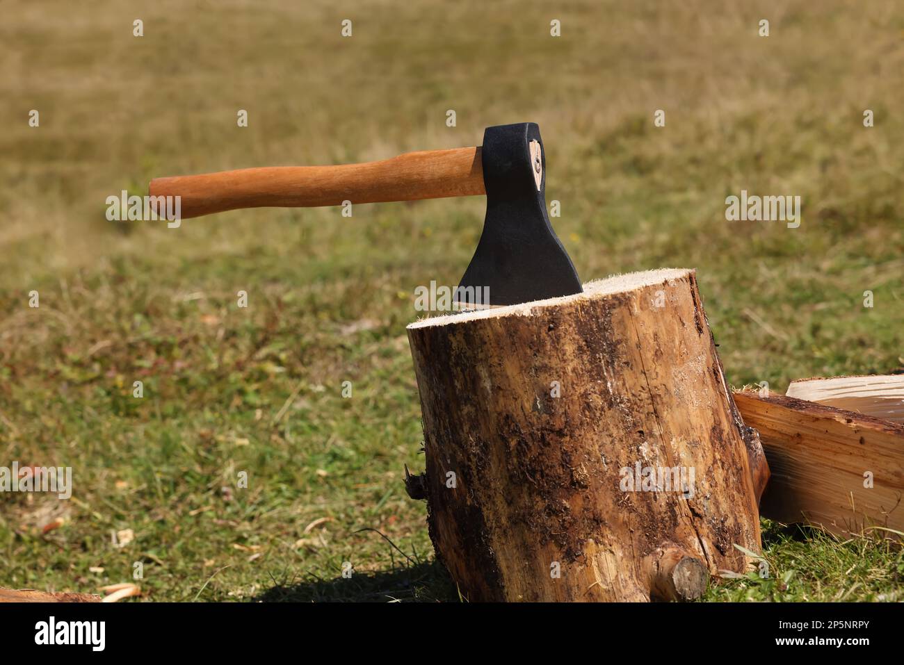Tree stump with axe outdoors. Professional tool Stock Photo - Alamy